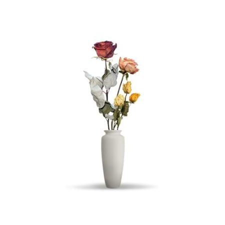 Toko Bunga Bali - Pinus Florist