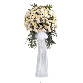 Toko Bunga Online - Pinus Florist